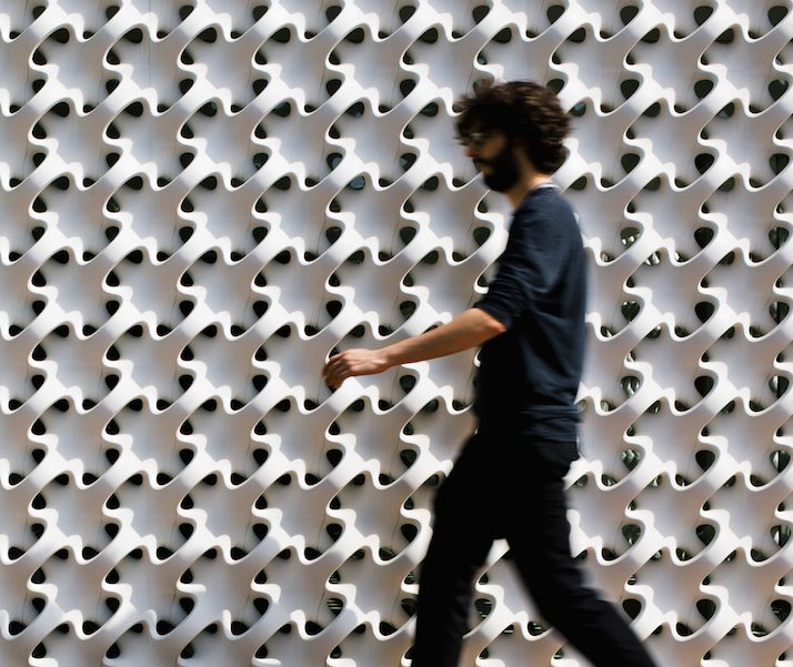 El retorno del cobogó - The Praxis Journal