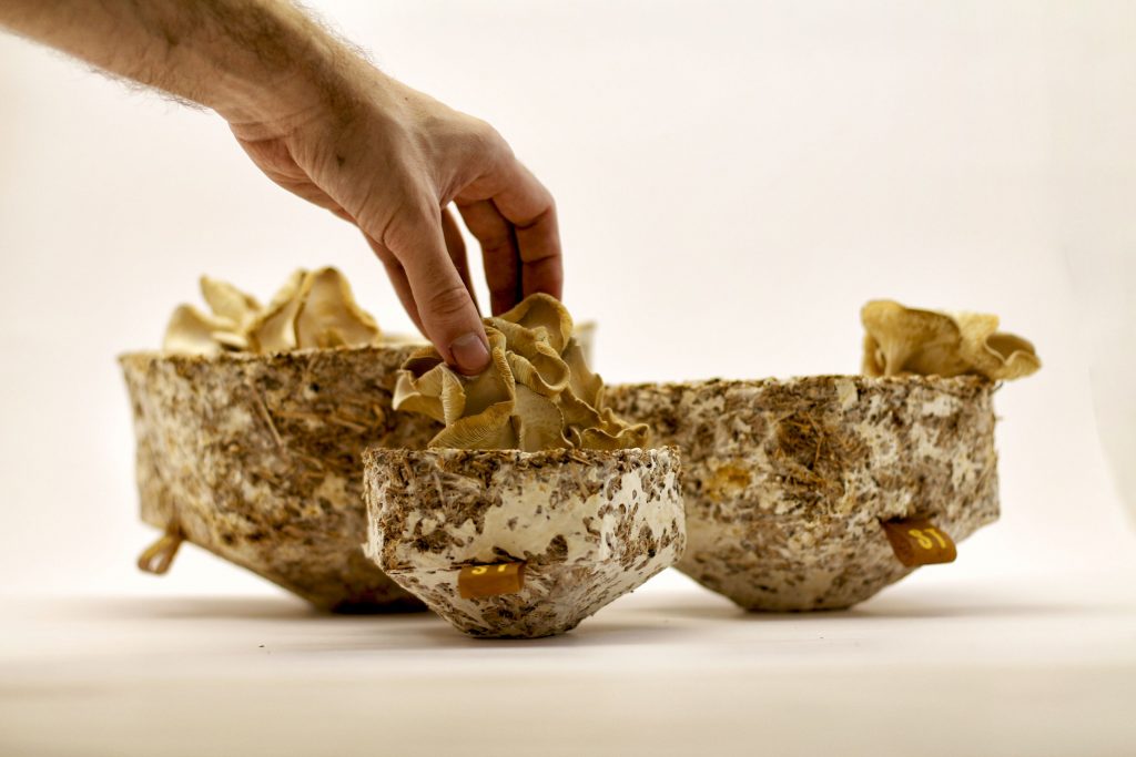 Biomateriales: la agricultura del futuro - The Praxis Journal